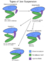 The Skull – Comparative Vertebrate and Human Anatomy: Ecology ...