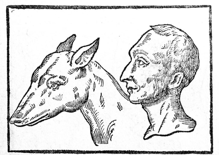 Chapter 2: Origins of Criminal Behavior – Biological and Psychological ...